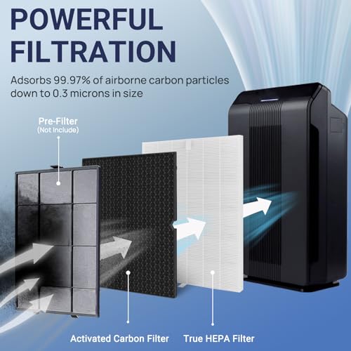 116130 Replacement Filter H for Winix 5500-2 and AM80 Air Purifier, 2 Set HEPA Filter and Activated Carbon Filter Combo Pack