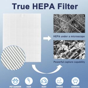 116130 Replacement Filter H for Winix 5500-2 and AM80 Air Purifier, 2 Set HEPA Filter and Activated Carbon Filter Combo Pack