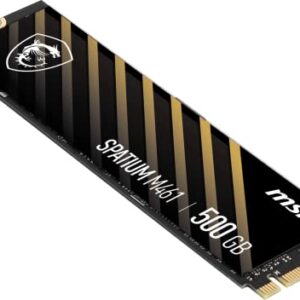 MSI SPATIUM M461 PCIe 4.0 NVMe M.2 500GB Internal SSD PCIe Gen4 NVMe (SPATIUM M461 PCIe 4.0 NVMe M.2 500GB)