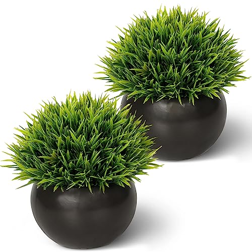 FIAHOSEY Fake Potted Plants Small Artificial Grass with Matte Black Ceramic Pots Faux Plant Greenery for Bathroom Living Room Office Tabletop Desk Shelf Decoration