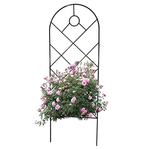 Garden Trellis for Climbing Plants Metal Vine Plant Support Trellis Climbing Rose Trellis Rustproof Plant Support for Potted Plants Flowers Vegetable