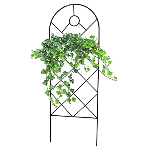 Garden Trellis for Climbing Plants Metal Vine Plant Support Trellis Climbing Rose Trellis Rustproof Plant Support for Potted Plants Flowers Vegetable