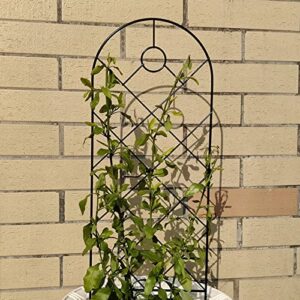 Garden Trellis for Climbing Plants Metal Vine Plant Support Trellis Climbing Rose Trellis Rustproof Plant Support for Potted Plants Flowers Vegetable