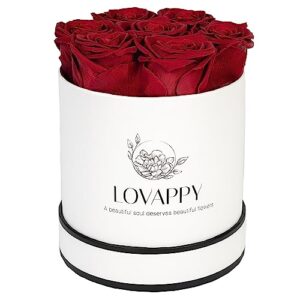 lovappy preserved real roses in a box roses that last up to 3 years, long lasting roses gifts for her, valentines day gifts for her (7 red)