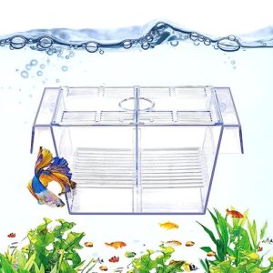 datoo fish breeding box aquarium holding tank transparent fish isolation box acclimation hatchery incubator breeder box for baby fish betta shrimp clownfish guppy