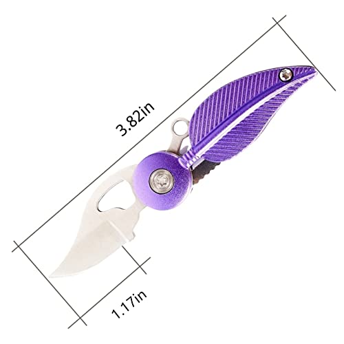 SWBIYING Pocket Knives & Folding Knives,Small Pocket Knife Set,Mini Pocket Knife for Women,Edc Knife with Chain,Cool Knives,Cool Gadgets,Cute Key Accessories(Purple)