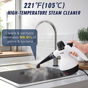 GLOIL Handheld Steam Cleaner, Steamer for Cleaning, Multipurpose Portable Steam Cleaners for Home Use with Safety Lock and 10 Accessory Kit to Remove Grime, Grease, and More, Save Time and Effort