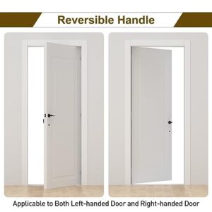 HOSOM Front Door Handle, Exterior Entry Door Handleset with Lever, Reversible for Right & Left-Handed Doors, Classic Style, Oil Rubbed Bronze