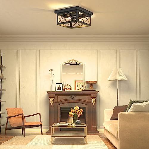 Aolloa Black Flush Mount Ceiling Light, 2-Light Hallway Light Fixtures Ceiling Mount, E26 Base Close to Ceiling Light with Vintage Metal Square Ceiling Lamp for Kitchen, Living Room, Bedroom