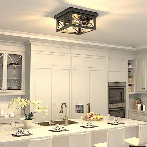 Aolloa Black Flush Mount Ceiling Light, 2-Light Hallway Light Fixtures Ceiling Mount, E26 Base Close to Ceiling Light with Vintage Metal Square Ceiling Lamp for Kitchen, Living Room, Bedroom