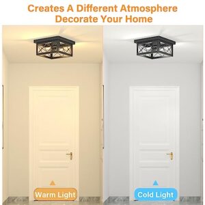 Aolloa Black Flush Mount Ceiling Light, 2-Light Hallway Light Fixtures Ceiling Mount, E26 Base Close to Ceiling Light with Vintage Metal Square Ceiling Lamp for Kitchen, Living Room, Bedroom