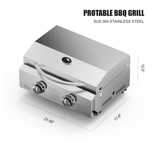 Tabletop Portable BBQ Grill, Dual Propane Burner - Stainless Steel