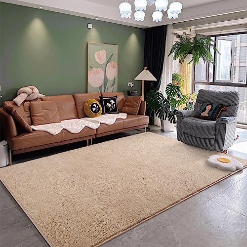 DweIke Modern Area Rugs for Bedroom Living Room, 5x7 Feet, Thickened Memory-Foam Indoor Carpets, Minimalist Style Carpet Suitable for Boys Girls Teenagers and Adults with Super Soft Touch, Beige