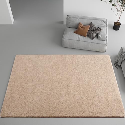 DweIke Modern Area Rugs for Bedroom Living Room, 5x7 Feet, Thickened Memory-Foam Indoor Carpets, Minimalist Style Carpet Suitable for Boys Girls Teenagers and Adults with Super Soft Touch, Beige