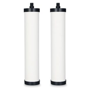 PERCOLA FRC06 Water Filter, Compatible with FRCNSTR/FRC06, FRCNSTR100/FRC06 Water Filter and Franke Still Pure Under-Sink Filtration System, 2 Pack