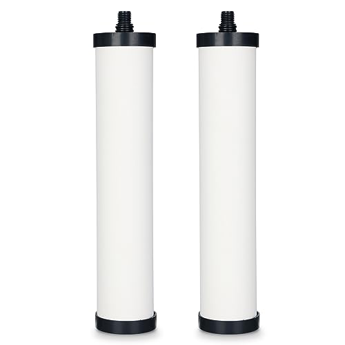 PERCOLA FRC06 Water Filter, Compatible with FRCNSTR/FRC06, FRCNSTR100/FRC06 Water Filter and Franke Still Pure Under-Sink Filtration System, 2 Pack