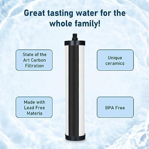 PERCOLA FRC06 Water Filter, Compatible with FRCNSTR/FRC06, FRCNSTR100/FRC06 Water Filter and Franke Still Pure Under-Sink Filtration System, 2 Pack