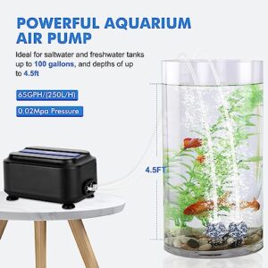 fishkeeper Aquarium Air Pump, 5W Dual Outlet Adjustable Fish Tank Aerator, 65GPH Quiet Oxygen Bubbler with Air Stone/Tubing/Check Valve/Connector for Fish Tank up to 100 Gallon