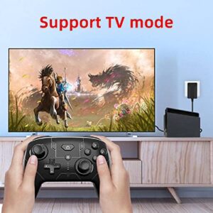 Lyyes Charger for Nintendo Switch, Fast Travel Charger Compatible with Nintendo Switch/Switch Lite/Switch OLED/Switch Dock