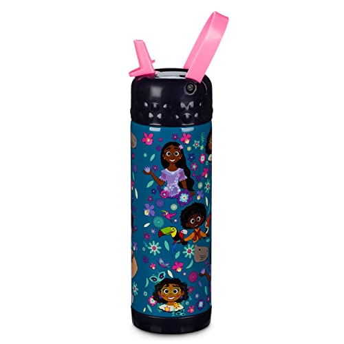 Disney Encanto Stainless Steel Water Bottle with Built-In Straw