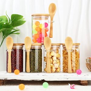 Roshtia 12 Sets Glass Jars with Bamboo Lids and Spoons Airtight Glass Jars Containers Borosilicate Glass Canisters Food Storage Canister for Hot Chocolate Bars Coffee Oats Spices Marshmallows (10 oz)