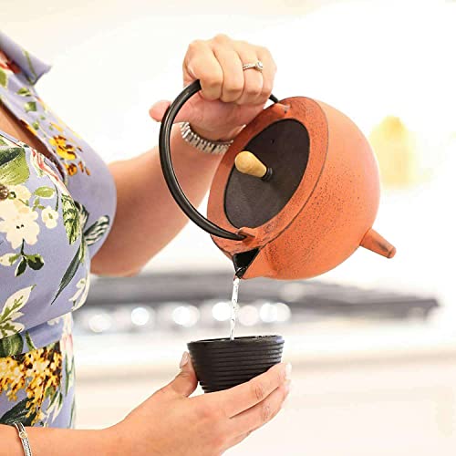 YKWQTeapot Red Teapot Tea kettle Glass teapot Water kettle Teapot with infuser Camping kettle Water heater kettle Tea kettle electric Tea kettles Glass teapot with infuser