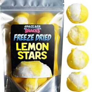 Freeze Dried Lemon Heads - Premium Freeze Dried Candy Shipped in a Box for Extra Protection - Space Age Snacks Freeze Dry Candy for All Ages Dry Freeze Candy (5 Ounces)