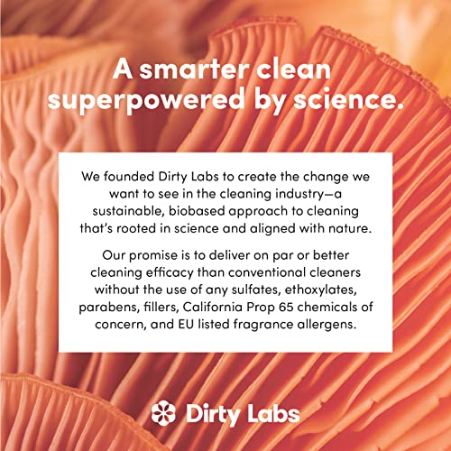 Dirty Labs | Laundry Detergent Sampler Kit | Signature, Murasaki & Free & Clear | 3x 32 Loads | Hyper-Concentrated | High Efficiency & Standard Machine Washing | Nontoxic, Biodegradable