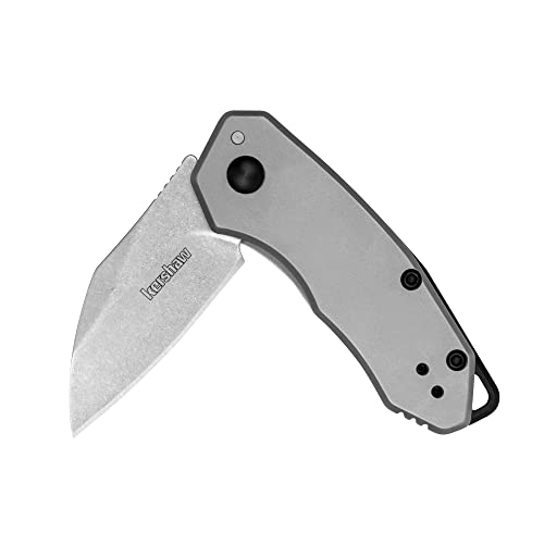 Kershaw Rate Folding Pocket Knife, Small Everyday Carry Knife with Assisted Opening, 8Cr13MoV Stainless Steel Blade, Pocketclip and Lanyard Hole,Grey