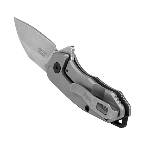 Kershaw Rate Folding Pocket Knife, Small Everyday Carry Knife with Assisted Opening, 8Cr13MoV Stainless Steel Blade, Pocketclip and Lanyard Hole,Grey