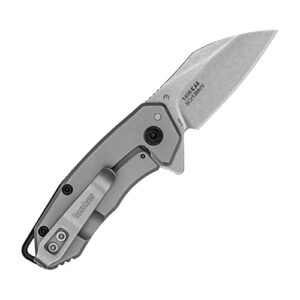 Kershaw Rate Folding Pocket Knife, Small Everyday Carry Knife with Assisted Opening, 8Cr13MoV Stainless Steel Blade, Pocketclip and Lanyard Hole,Grey