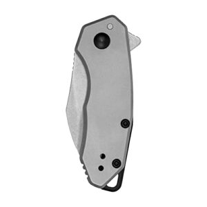 Kershaw Rate Folding Pocket Knife, Small Everyday Carry Knife with Assisted Opening, 8Cr13MoV Stainless Steel Blade, Pocketclip and Lanyard Hole,Grey