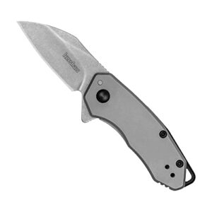 Kershaw Rate Folding Pocket Knife, Small Everyday Carry Knife with Assisted Opening, 8Cr13MoV Stainless Steel Blade, Pocketclip and Lanyard Hole,Grey