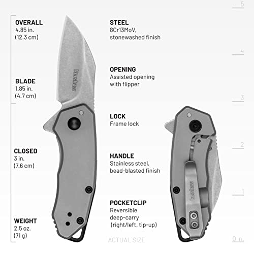 Kershaw Rate Folding Pocket Knife, Small Everyday Carry Knife with Assisted Opening, 8Cr13MoV Stainless Steel Blade, Pocketclip and Lanyard Hole,Grey