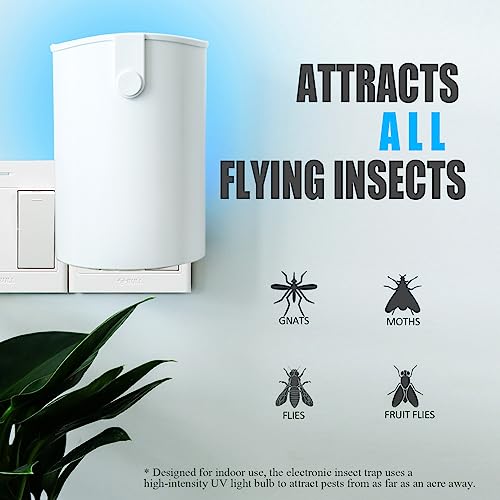 Flying Insect Trap, Fruit Fly Traps for Indoors, Home Plug in Bug Catcher Indoor Sticky, Electric Fly Light Trap Kit for Flies, Fruit Flies, Moths, Gnats, and Other Flying Insects