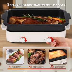 Moongiantgo Electric Indoor Hot Pot Grill, 5 Removable Plates Dual Temperature Control, Multipurpose Hotpot Pot Electric with Grill, Perfect for Korean BBQ, Takoyaki, Pancakes, Smokeless, 110V