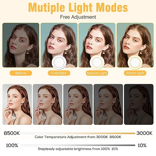 Ring Light, 3 Light Mode Selfie Light Rechargeable Large Capacity Battery Portable 60 LED Adjustable Brightness Clip on Light for Phone, iPad, Laptop, for Makeup, TikTok, Photography, Vlog, YouTube