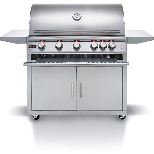 Blaze Premium LTE 40-Inch 5-Burner Propane Grill w/Rear Infrared Burner & Grill Lights