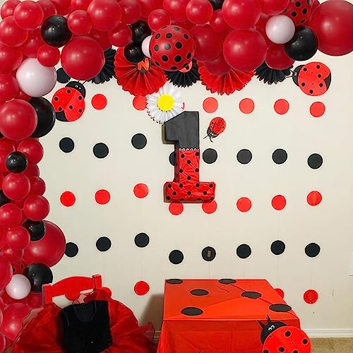 HYOWCHI Ladybug Party Supplies - 151 Pcs Ladybug Birthday Party Decorations Balloon Garland Arch Kit, Red Black Polka Dot Balloon Arch For Ladybug & Cat Noir Theme Baby Shower Birthday Party Supplies