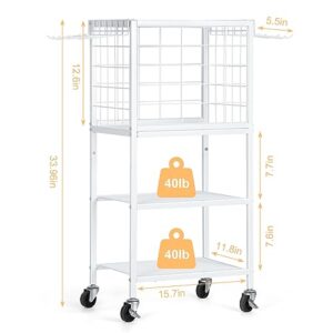 Home Gym Storage Rack, Workout Equipment Storage, Weight Rack for Dumbbells, Yoga Mat Storage Rack, Exercise Equipment Storage with Hooks Gym Organizers with Wheels for Yoga Block, Resistance Band, White