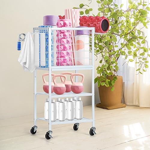 Home Gym Storage Rack, Workout Equipment Storage, Weight Rack for Dumbbells, Yoga Mat Storage Rack, Exercise Equipment Storage with Hooks Gym Organizers with Wheels for Yoga Block, Resistance Band, White