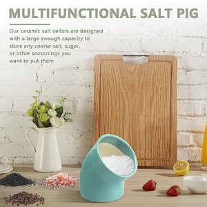 Salt Pig, Dishwasher Safe Ceramic Salt Cellar Modern and Minimalist, Salt Pig Ceramic for Convenient Access to Seasoning, Wide Caliber Salt Holder for Counter, Mint Green