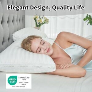 Glaciman Gusseted Bed Pillows Standard Size Set of 2, Hotel Quality Pillows 2 Pack for Side and Back Sleepers, Breathable Cover and Soft Down Alternative Filling,White Piping,20X26 inches