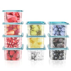 Mosville 10 PCS Small Containers with Lids, 4 OZ Airtight and Stackable Salad Dressing Container To Go and BPA Free Condiment Containers, Baby Food Containers Microwave & Dishwasher Safe……