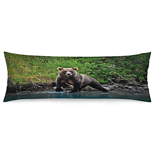 Body Pillow Cover,Grizzly Brown Bear in Lake Alaska Untouched Forest Jungle Printed Long Pillow Cases Protector with Zipper Decor Soft Large Covers Cushion for Beding,Couch,Sofa,Home Gift 20"x54"