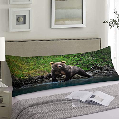 Body Pillow Cover,Grizzly Brown Bear in Lake Alaska Untouched Forest Jungle Printed Long Pillow Cases Protector with Zipper Decor Soft Large Covers Cushion for Beding,Couch,Sofa,Home Gift 20"x54"