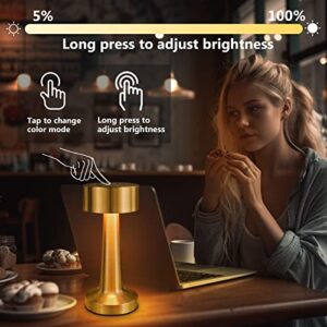 Nusogon Cordless Table Lamp, Rechargeable Battery Operated Lamp, 3 Way Modes & Stepless Dimmable LED Touch Lamp, Portable LED Metal Desk Lamps for Bedroom Living Room Restaurant Outdoor(Gold-2pack)