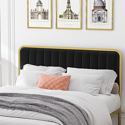 DOGIBIXO Gold Bed Frame King Size with LED Lights, Black Upholstered Bed Frame with Tufted Headboard and Footboard, Metal Slats Support, Noise-Free, No Box Spring Needed