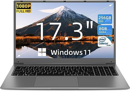 SGIN 17 Inch Laptop, 8GB RAM 256GB SSD Laptops with IPS Full HD, Intel Celeron Quad Core J4105, Mini HDMI, Webcam, Dual Wi-Fi, Buletooth 4.2, 2xUSB 3.0, Expandable Storage 512GB TF(Gray)