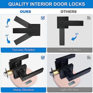 Hasmikit 10 Pack Matte Black Door Handles Privacy Door Levers, Heavy Duty Bed and Bath Door Locks Interior Door Knobs, Reversible Keyless Flat Levers with Square Rosette